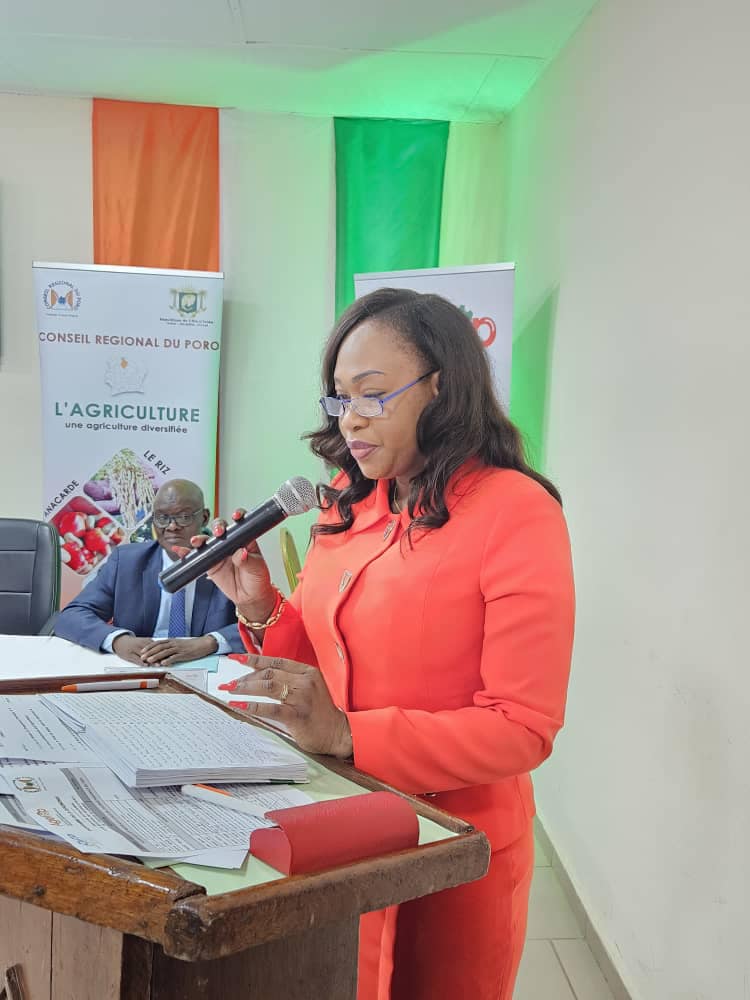 Enseignement Technique / Formation et Insertion des Jeunes.